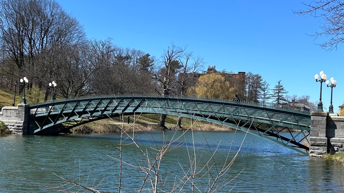 About – Averybody Walks